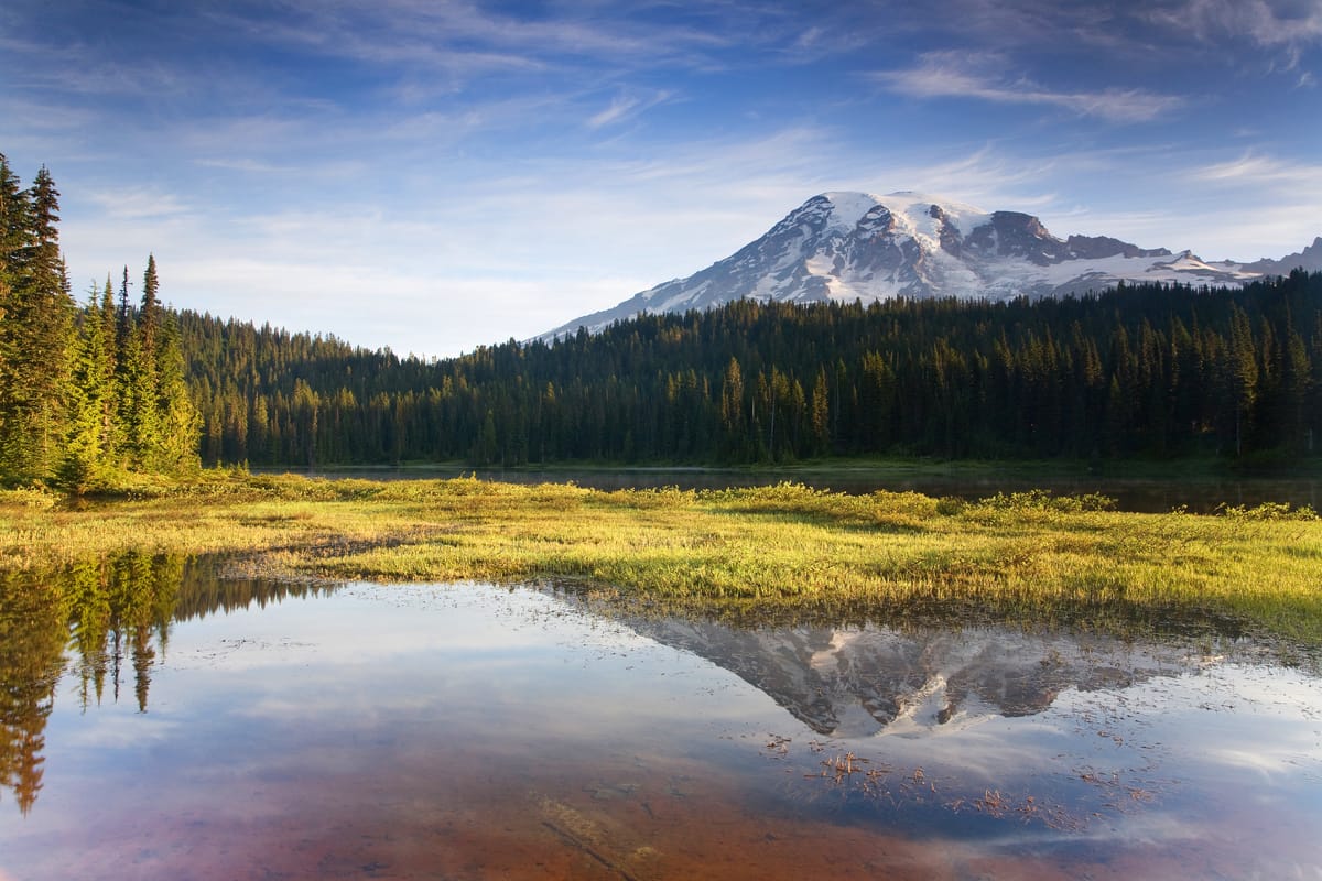 Rainier Mountain "Guide"